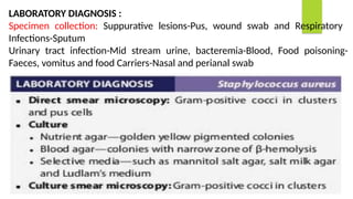 Staphylococcus streptococcus their toxins, diagnosis and treatment | PPTX