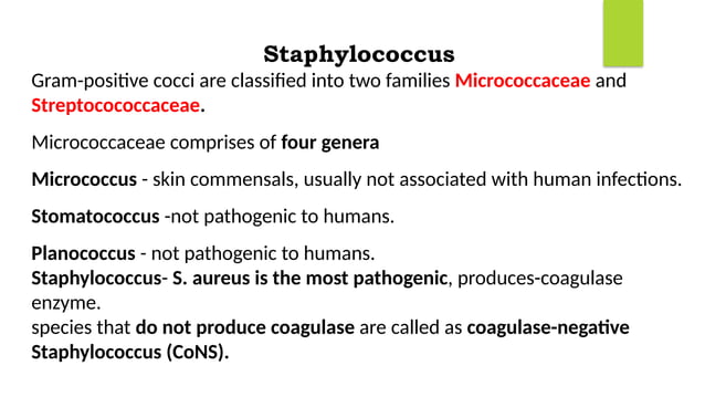 Staphylococcus streptococcus their toxins, diagnosis and treatment | PPTX