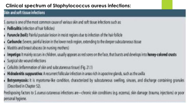 Staphylococcus streptococcus their toxins, diagnosis and treatment | PPTX