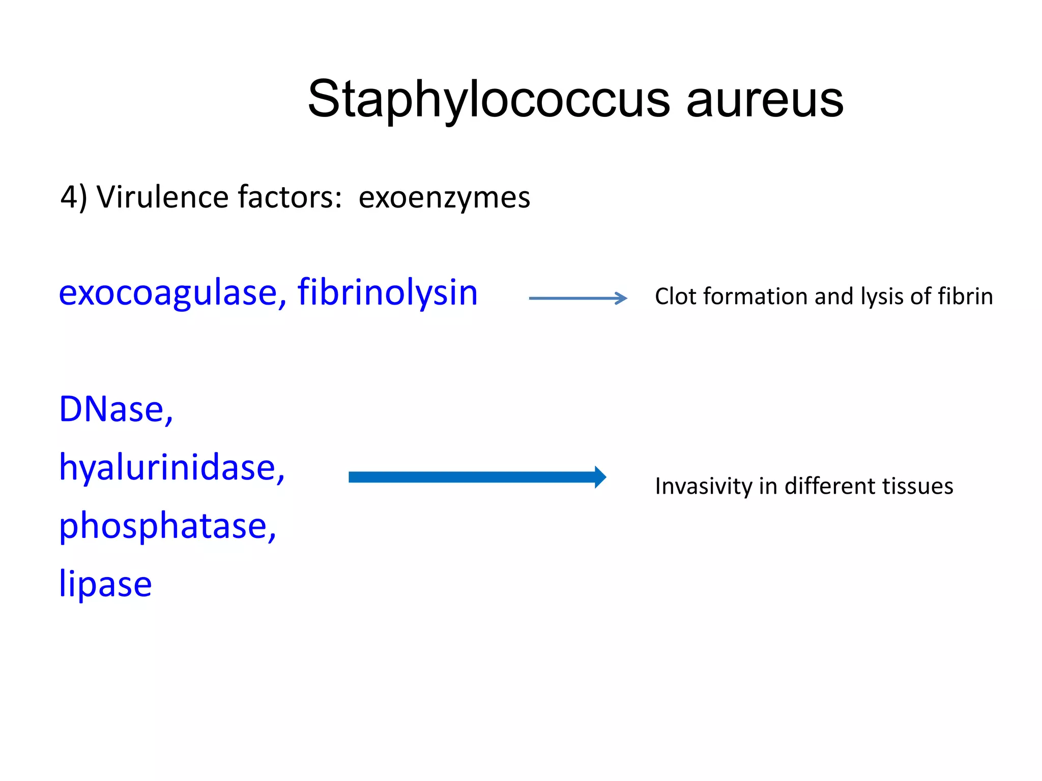 Staphylococcus.pdf