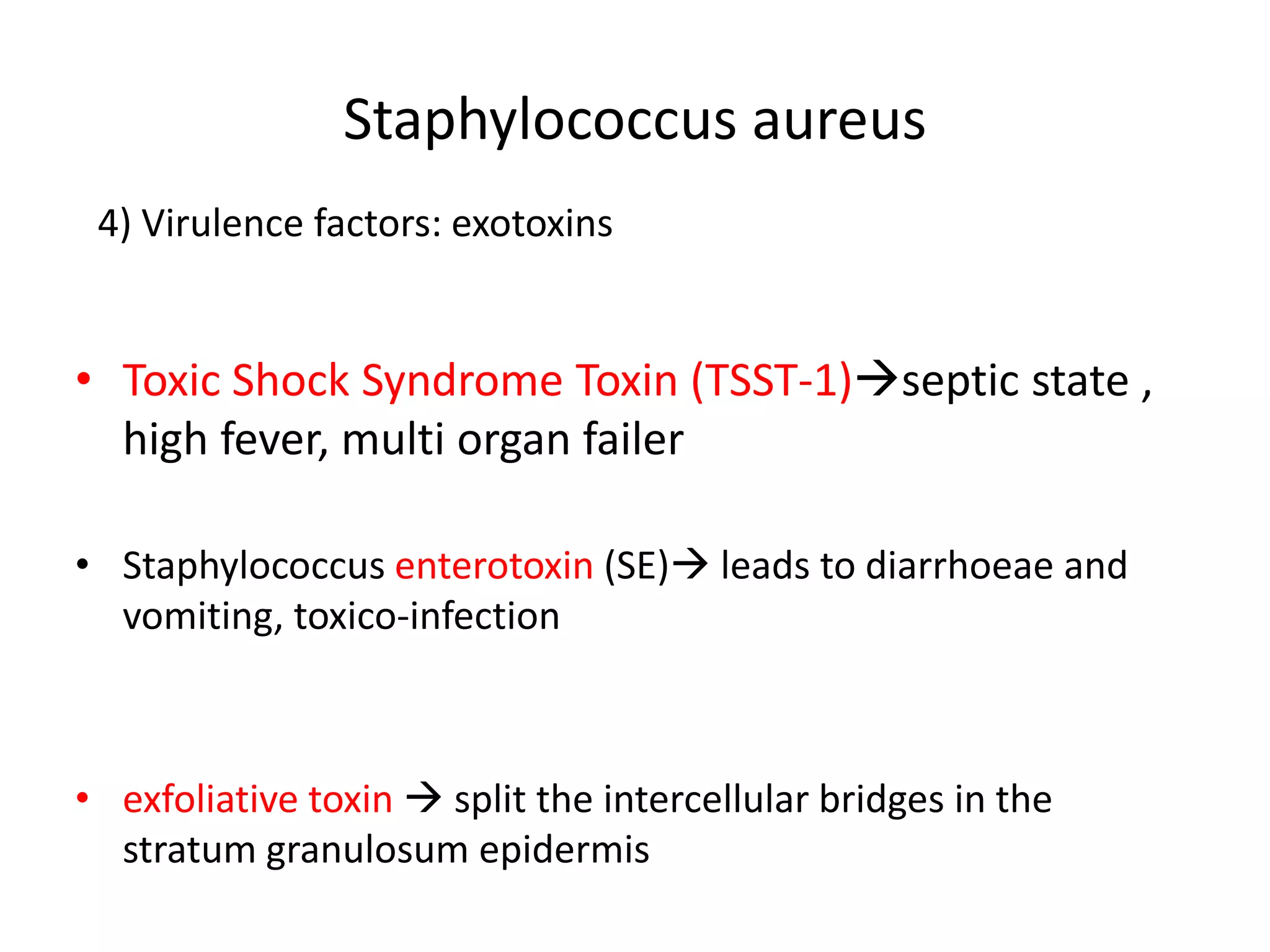 Staphylococcus.pdf