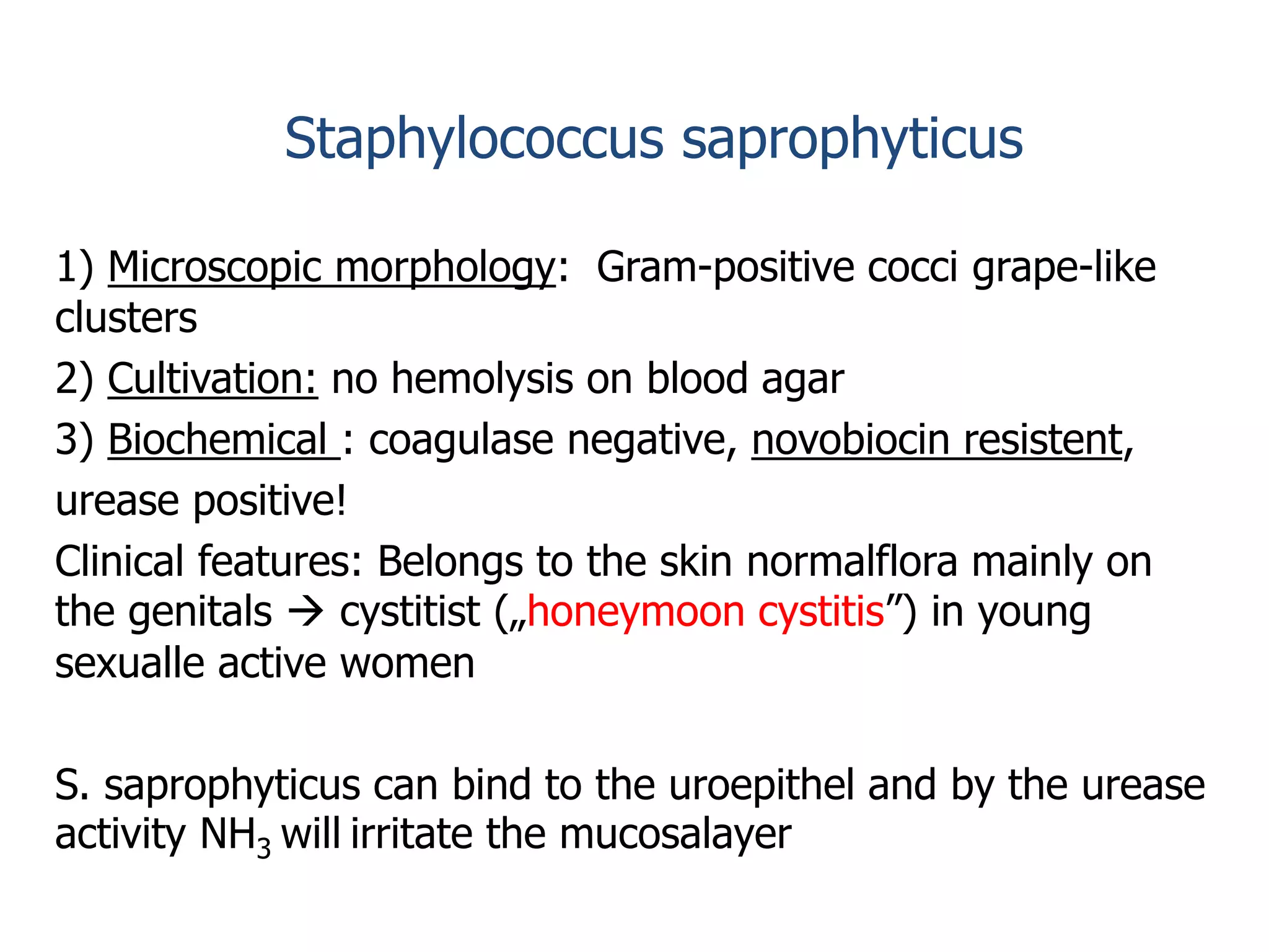 Staphylococcus.pdf