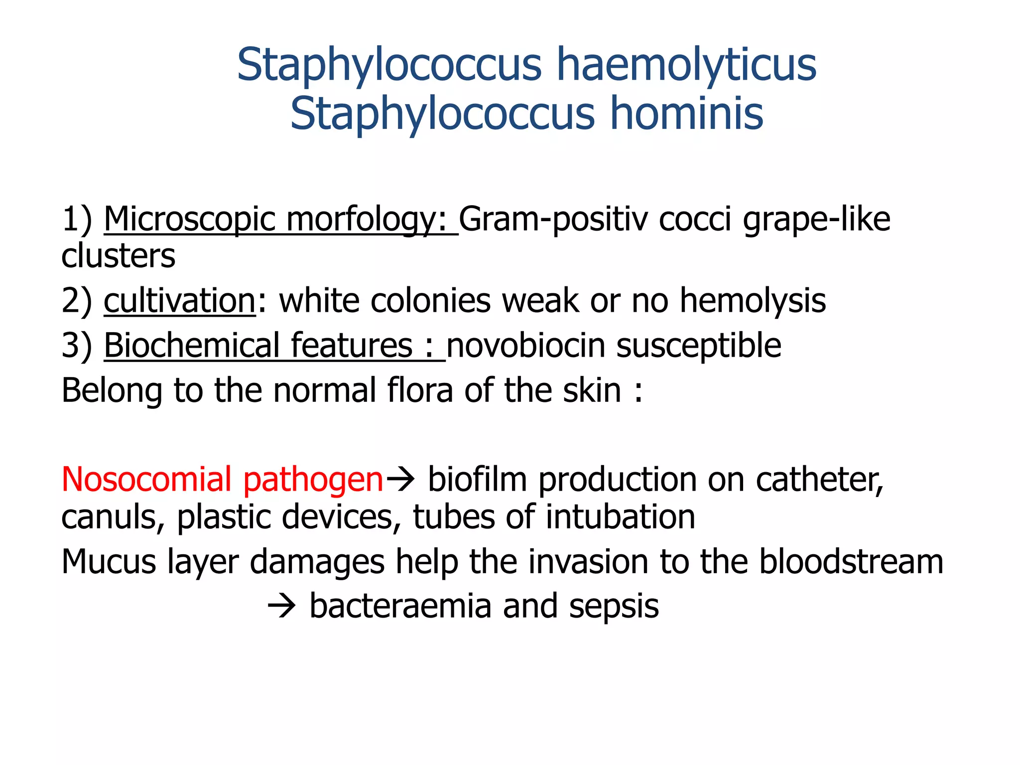Staphylococcus.pdf