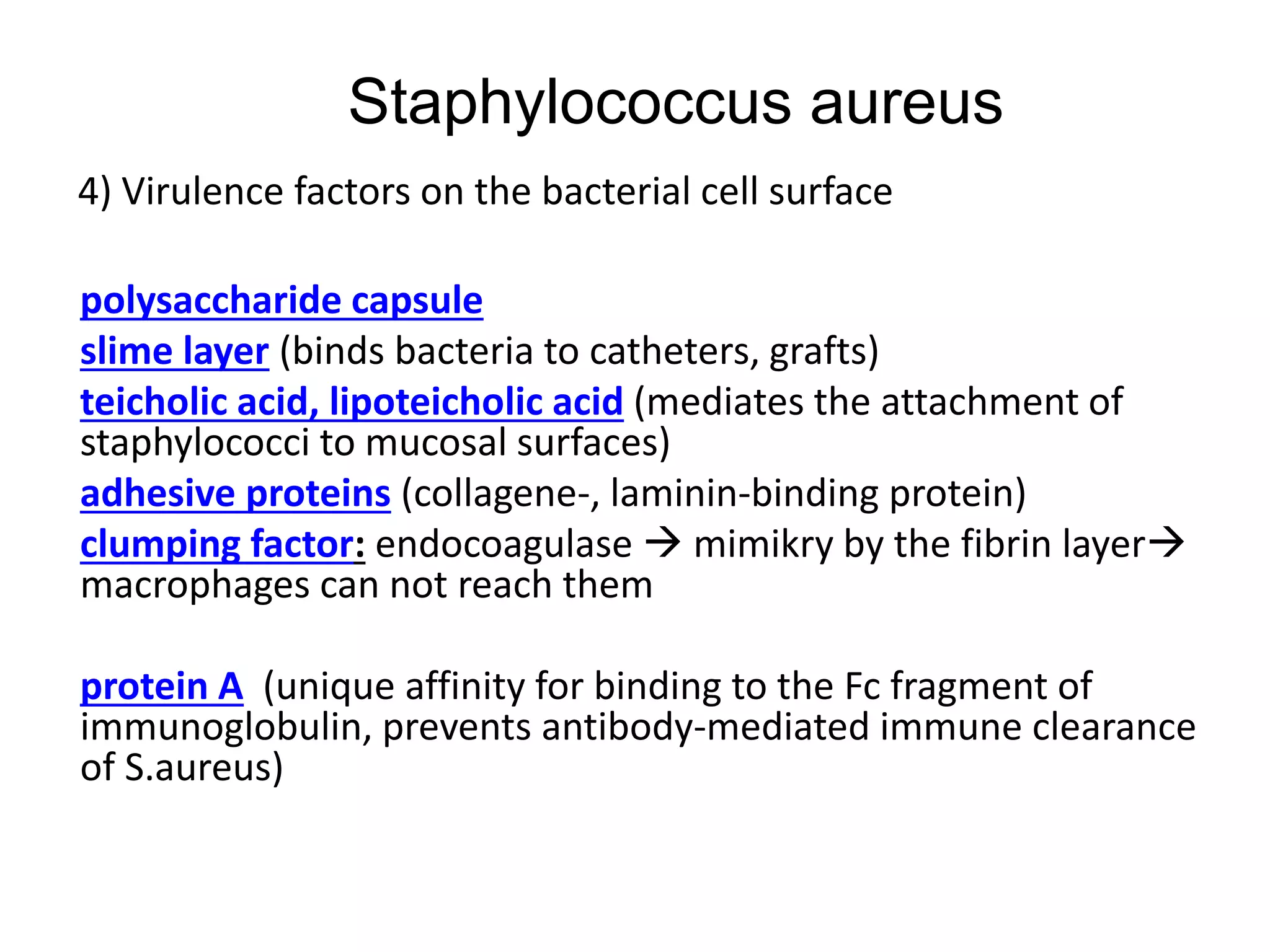 Staphylococcus.pdf