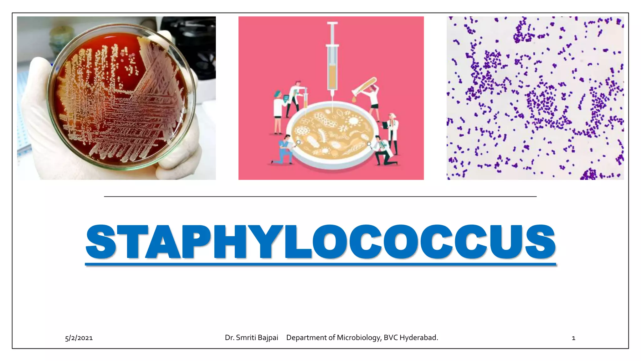 Staphylococcus.pptx