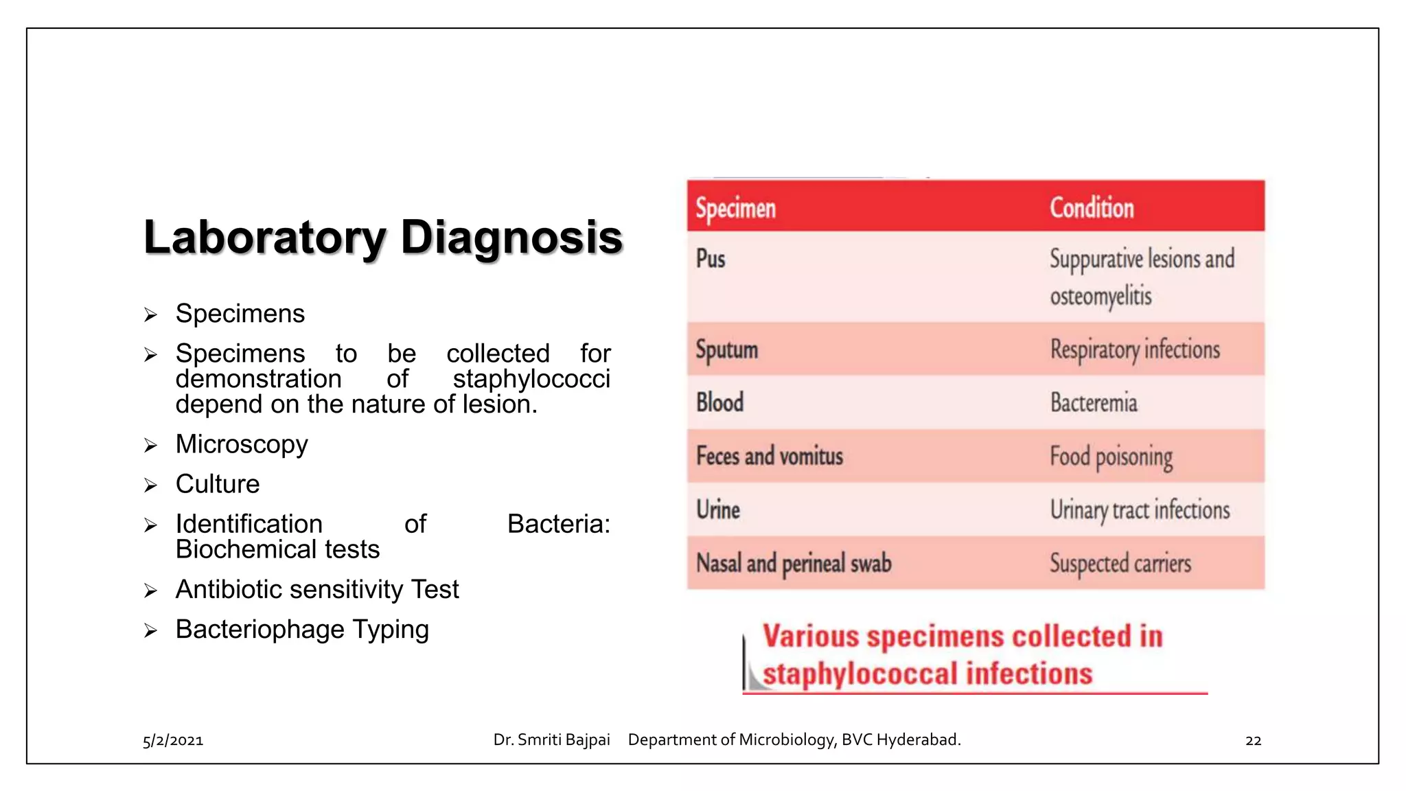 Staphylococcus.pptx
