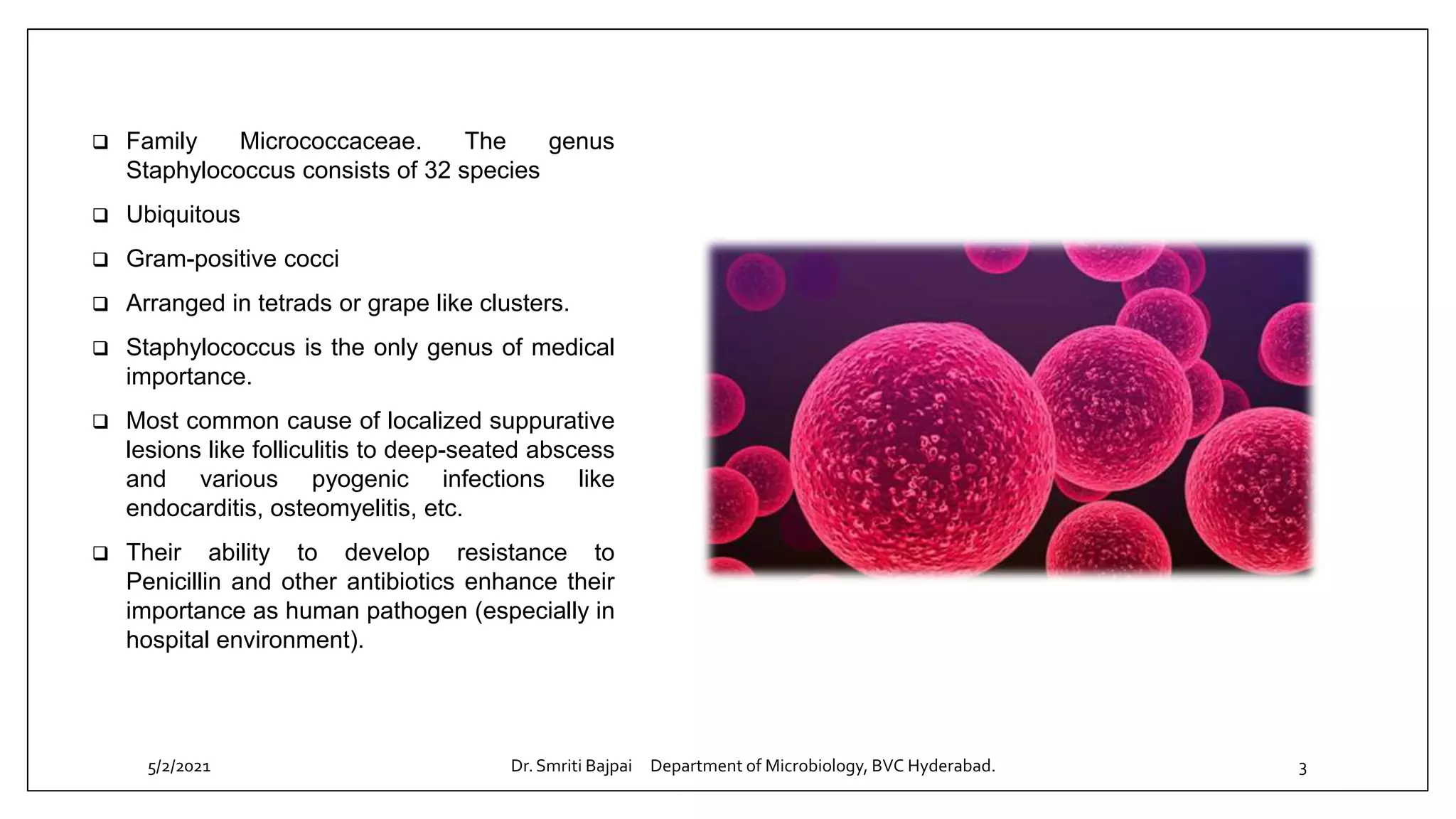 Staphylococcus.pptx