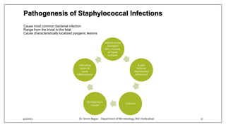 Staphylococcus.pptx