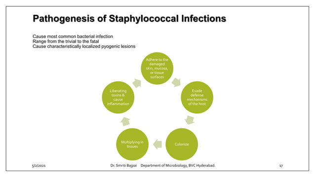 Staphylococcus.pptx