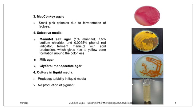 Staphylococcus.pptx