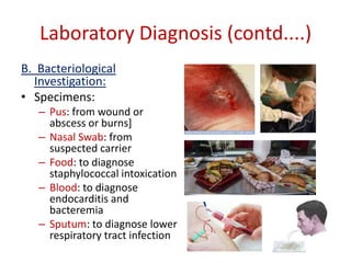 staphylococcus-.pdf