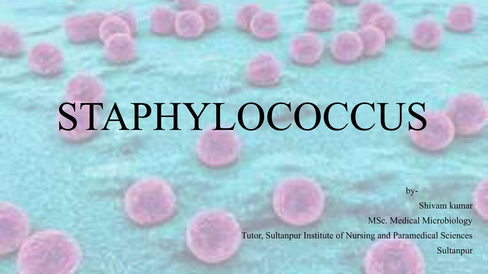 Staphylococcus.pptx