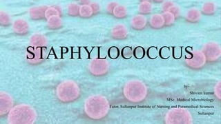 Staphylococcus.pptx
