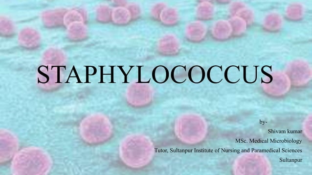 Staphylococcus.pptx