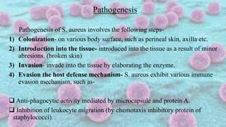 Staphylococcus.pptx