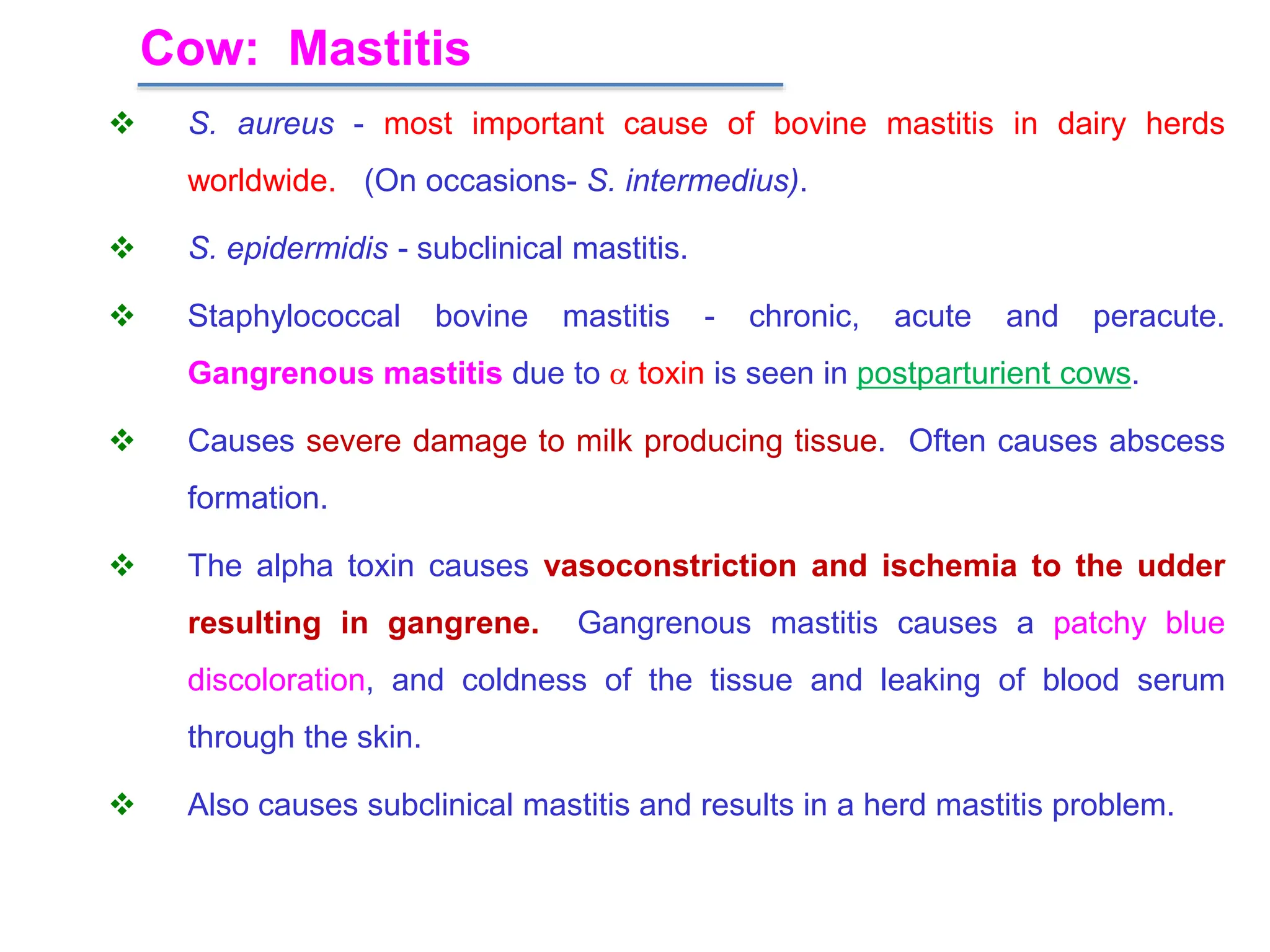 Staphylococcus.ppt veterinary microbiology | PPT