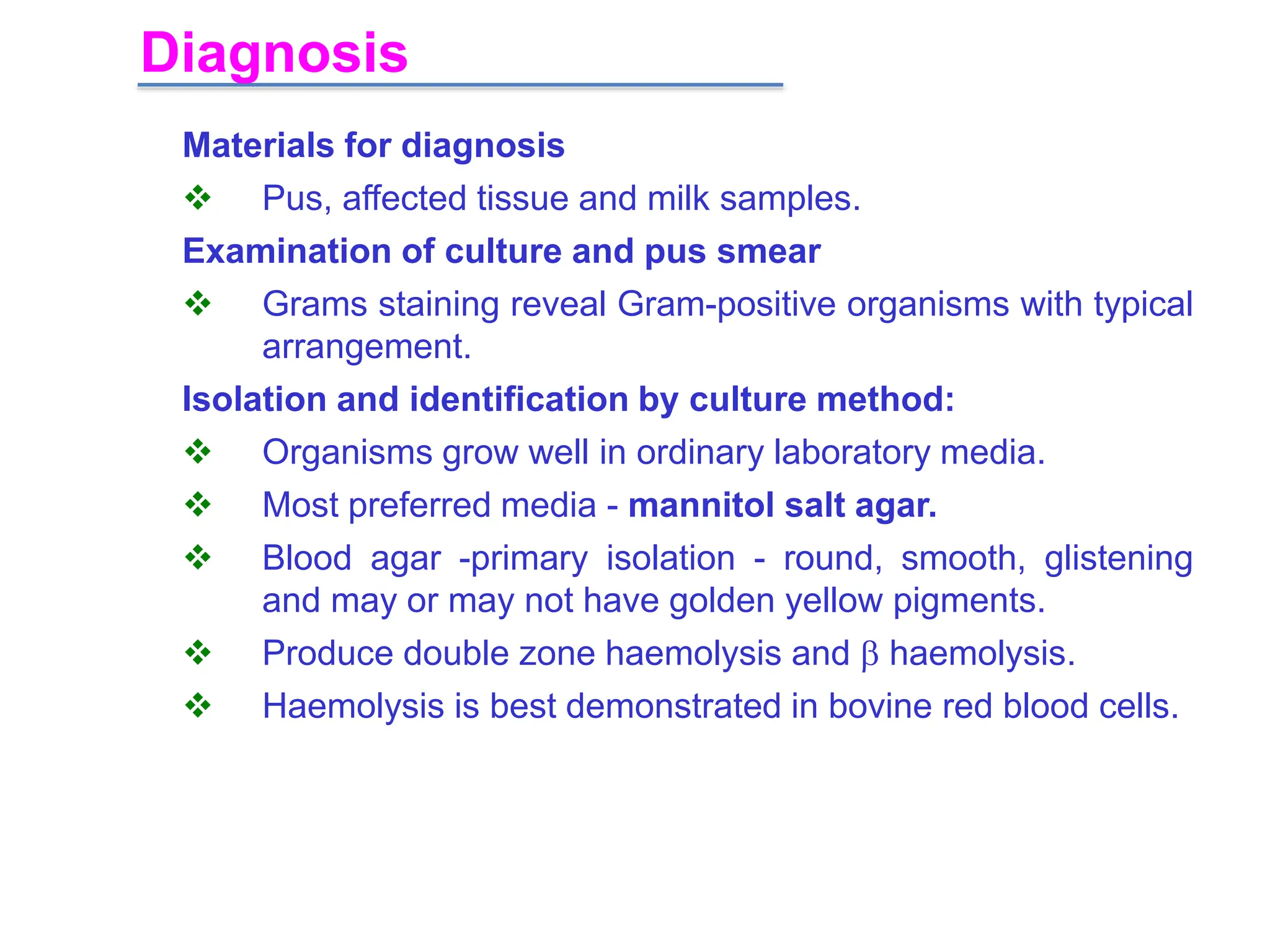 Staphylococcus.ppt veterinary microbiology | PPT