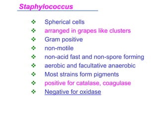 Staphylococcus.ppt veterinary microbiology | PPT