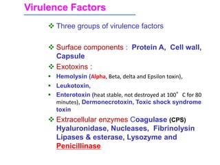 Staphylococcus.ppt veterinary microbiology | PPT