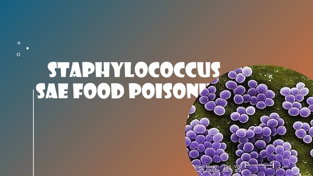 STAPHYLOCOCCUS .pptx