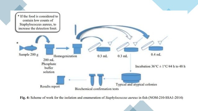 Staphylococcus Pptx