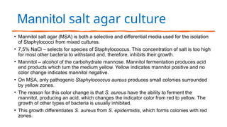 STAPHYLOCOCCUS .pptx