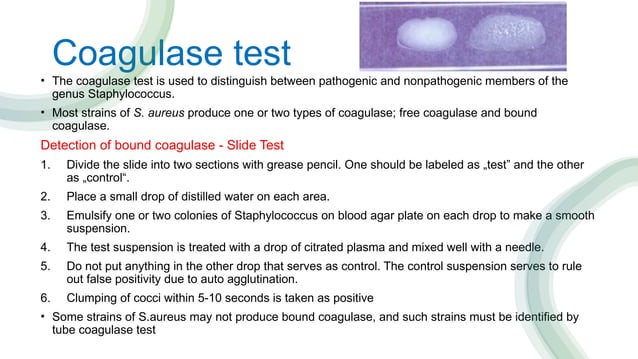 Staphylococcus Pptx