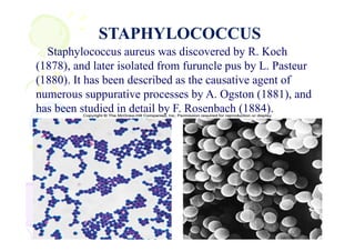 STAPHYLOCOCCUS.spp. (3).pdfSTAPHYLOCOCCUS MICROBIOLOGICAL ...