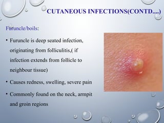 staphylococcus bacteria all information. | PPTX