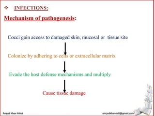 staphylococcus-256712602.pdf