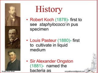 staphylococcus-256712602.pdf