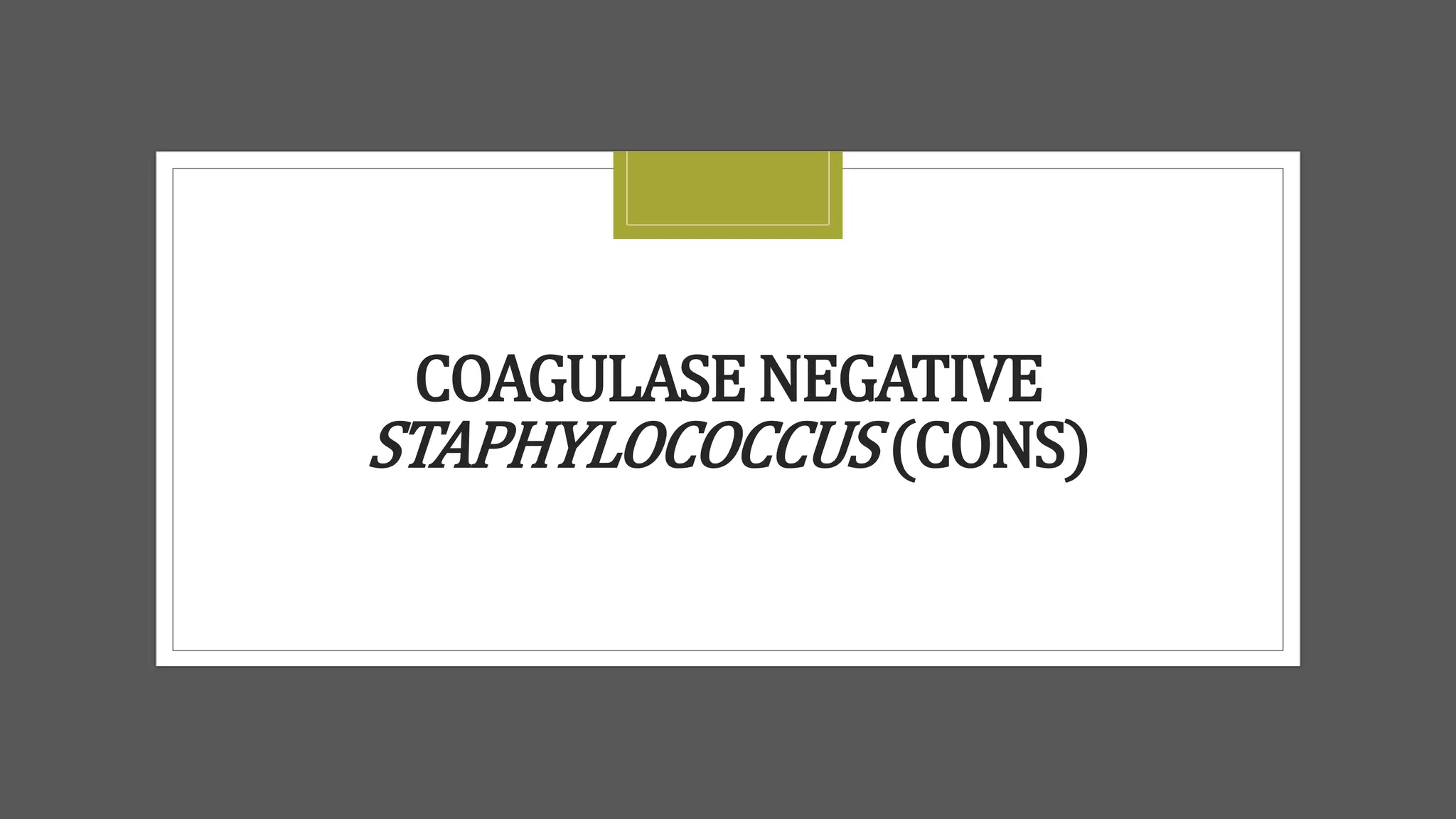 Staphylococcus Dr.Ashna Ajimsha | PPTX