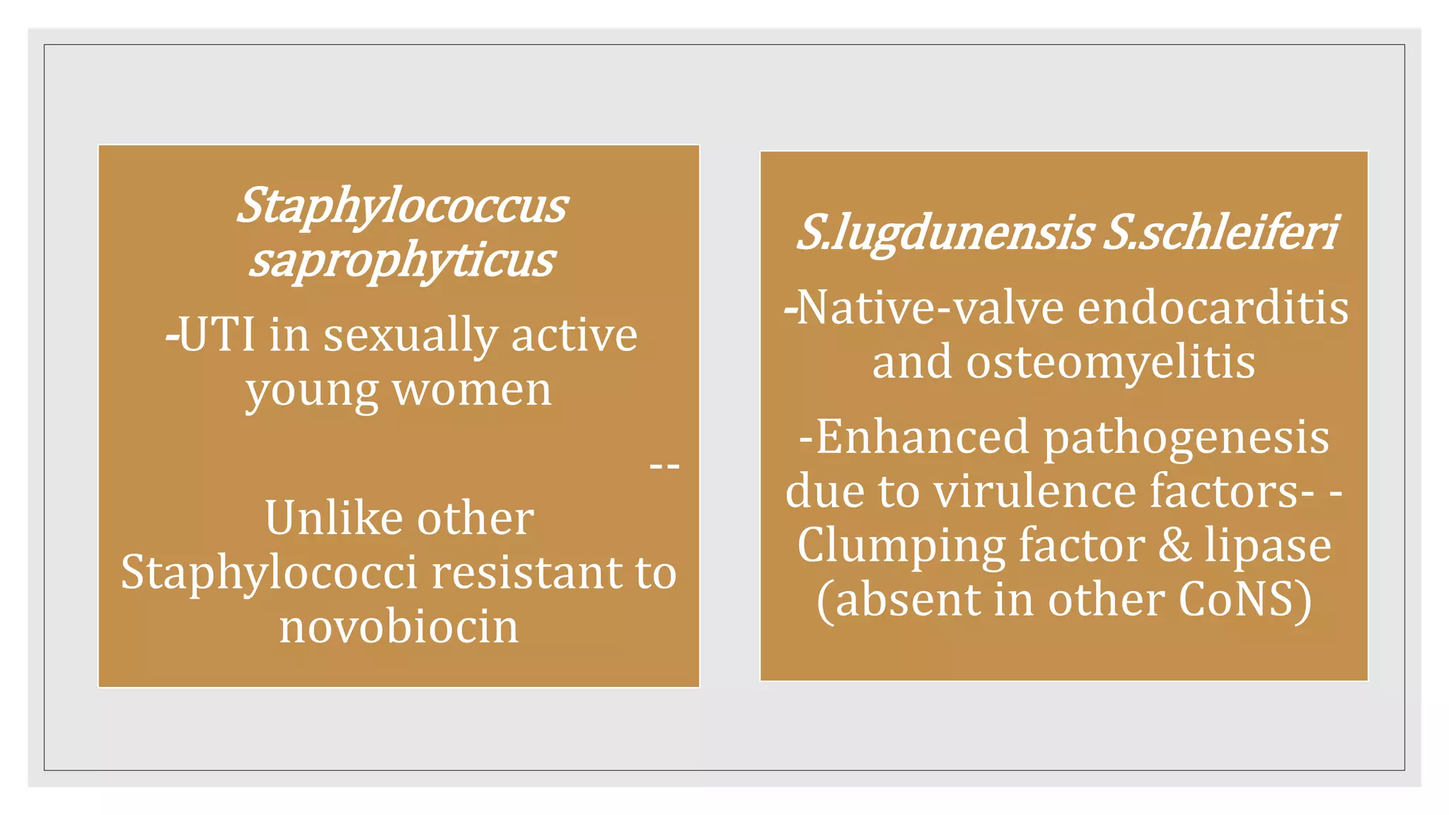 Staphylococcus Dr.Ashna Ajimsha | PPTX