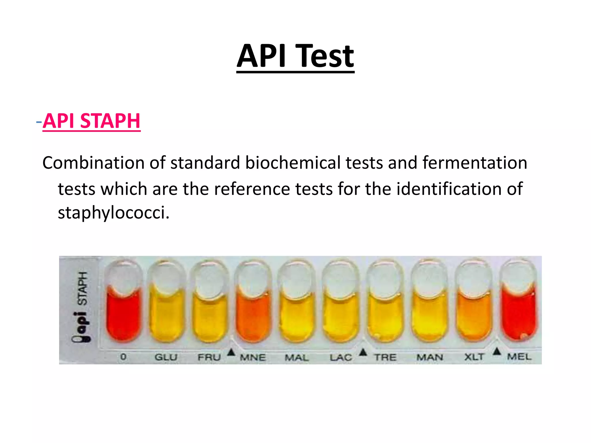 Staphylococcus aureus | PPTX