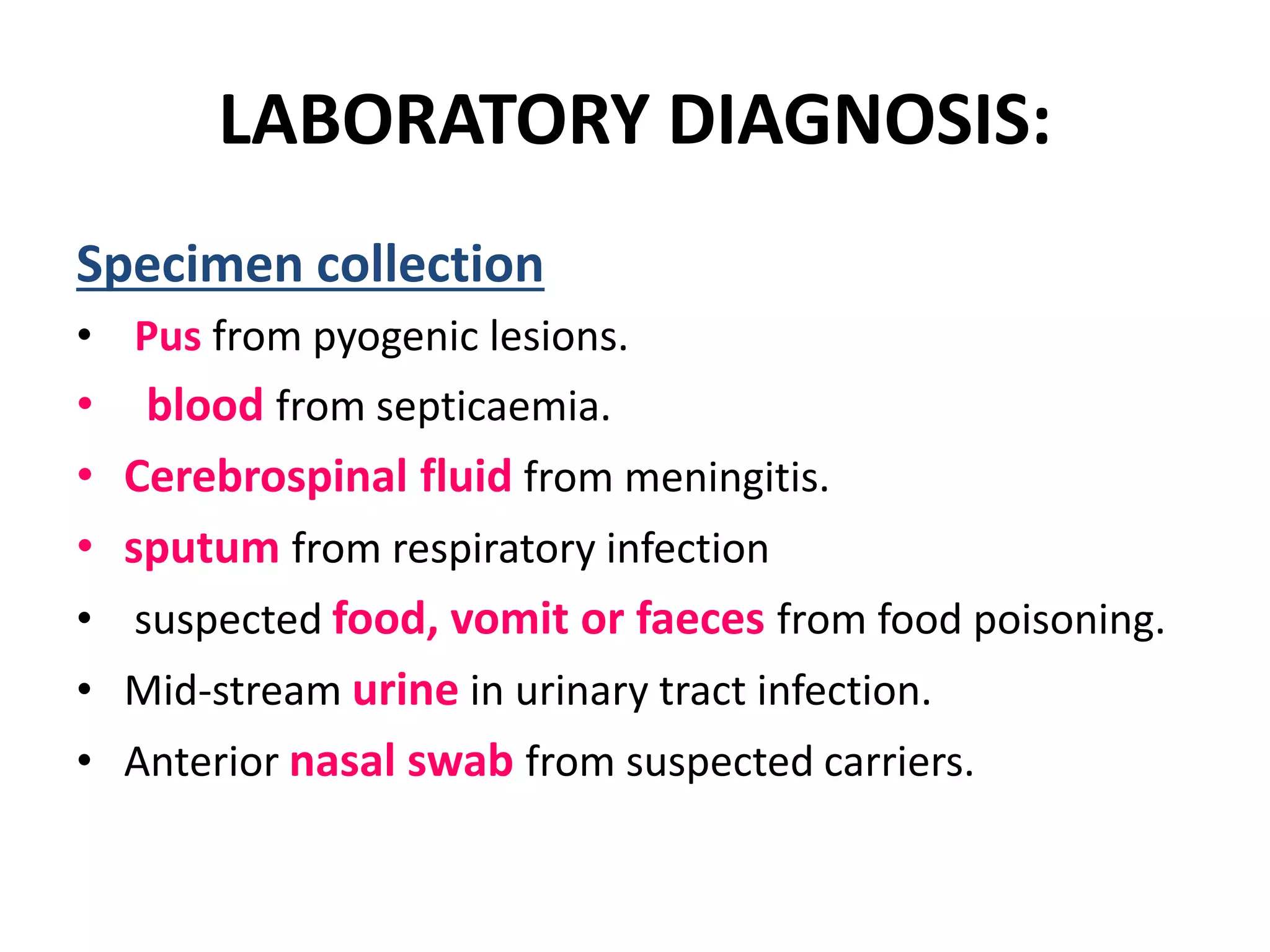 Staphylococcus aureus | PPTX