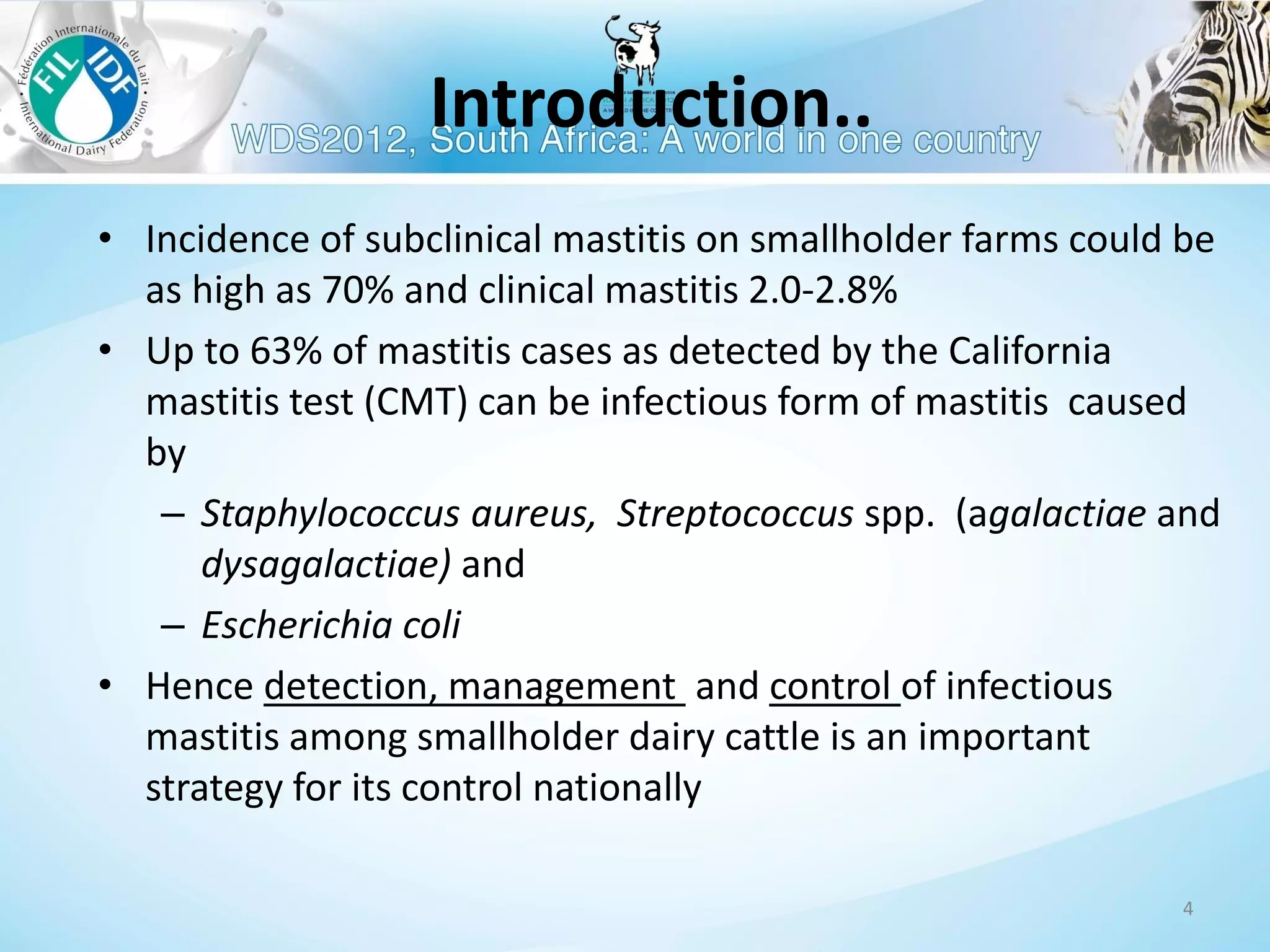 Management to prevent Staphylococcus aureus mastitis in small-scale ...