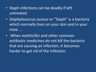 Staphylococcus bacteria | PPT