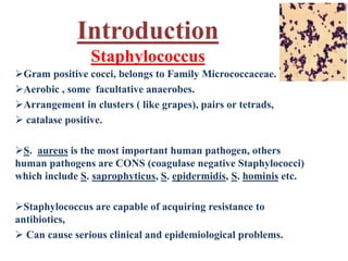 Staphylococcus | PDF