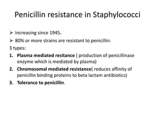 Staphylococcus | PDF