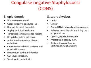 Staphylococcus | PDF