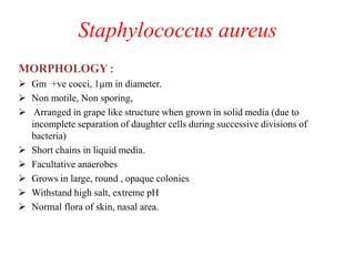 Staphylococcus | PDF
