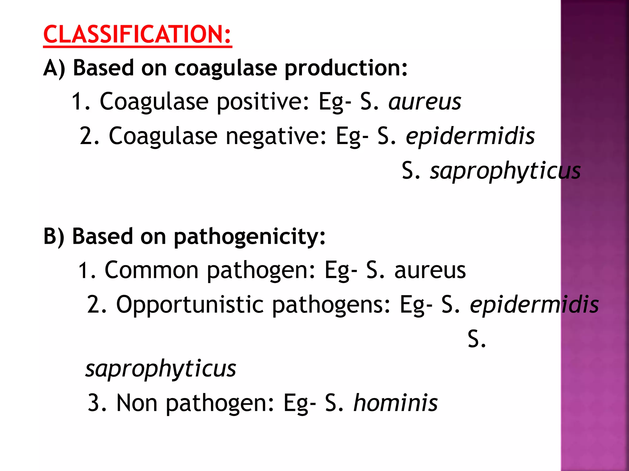 Staphylococcus | PPT