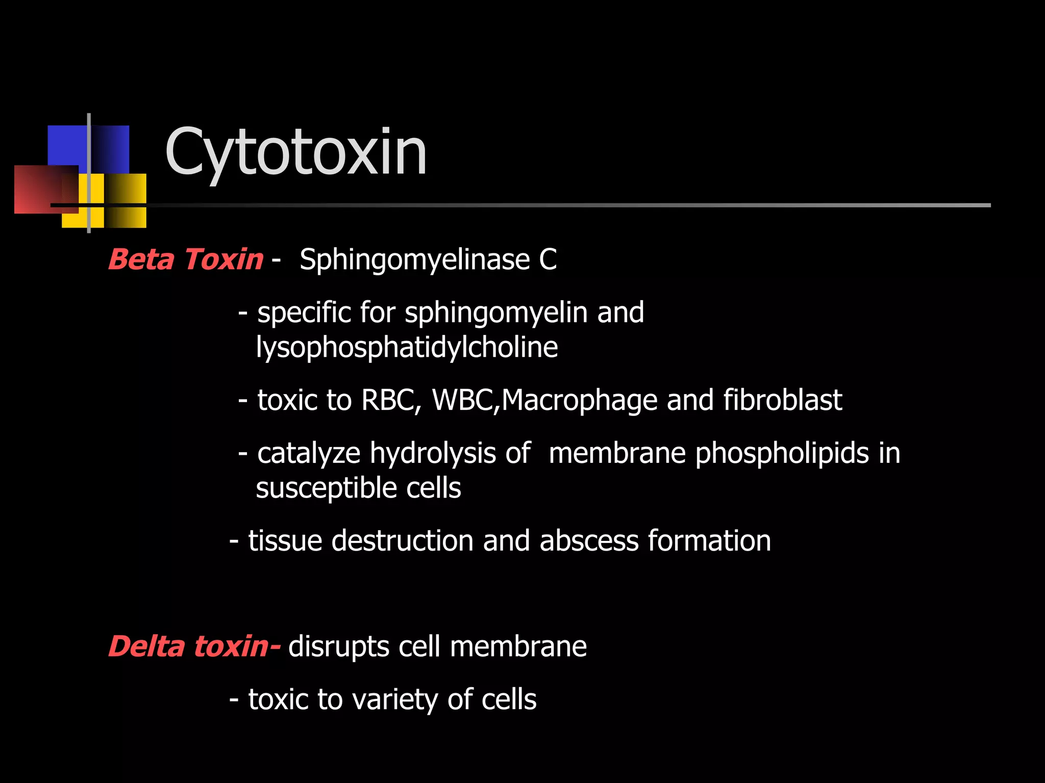 Staphylococcus (2) | PPT