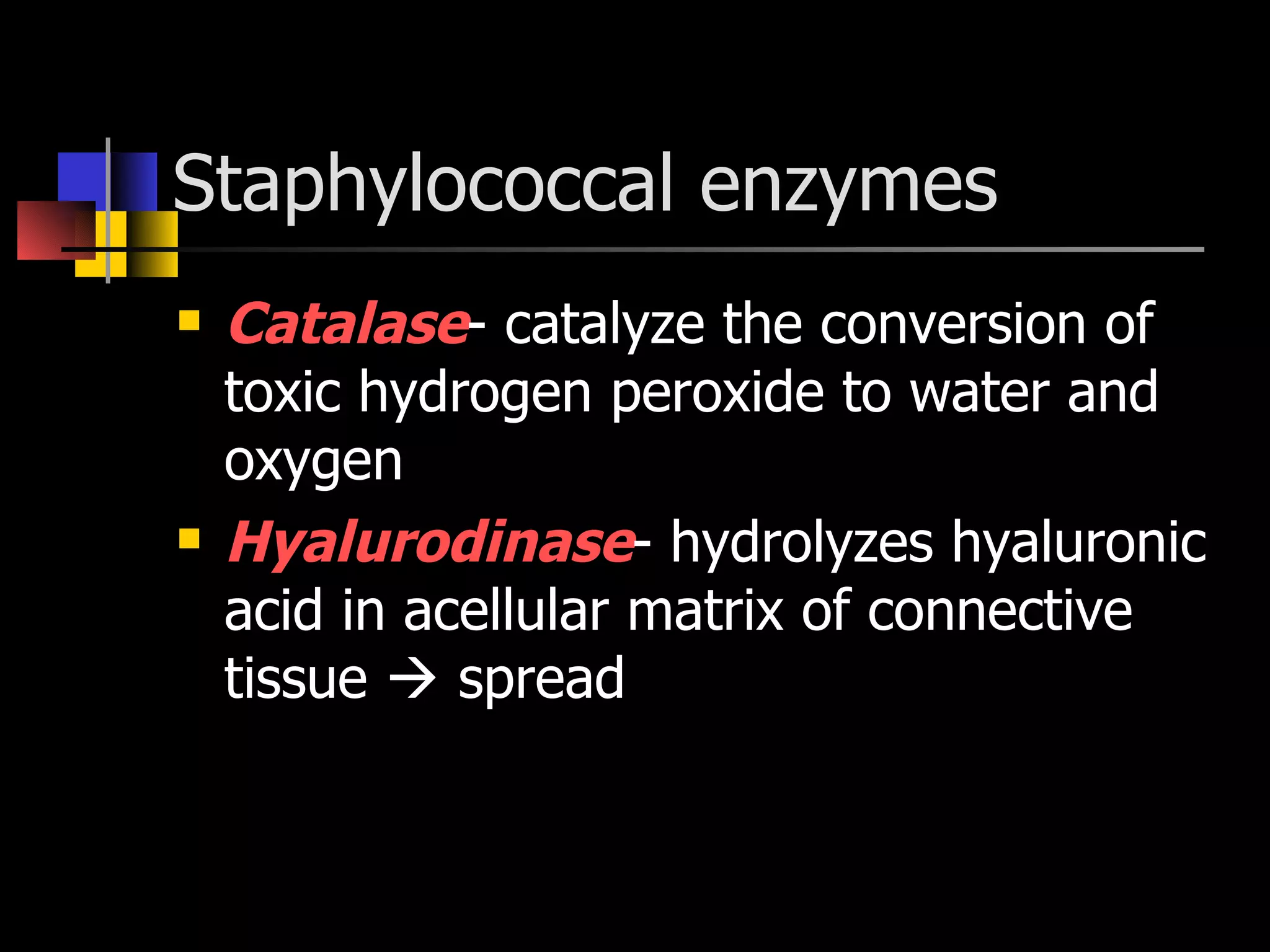 Staphylococcus (2) | PPT
