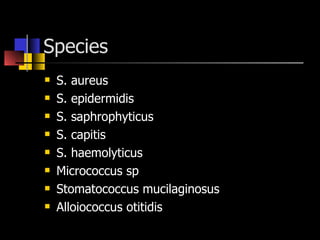 Staphylococcus (2) | PPT