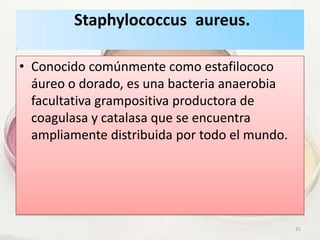 Staphylococcus | PPTX