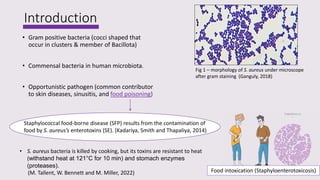 Staphylococcus aureas (1).pptx