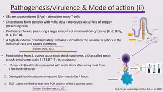 Staphylococcus aureas (1).pptx