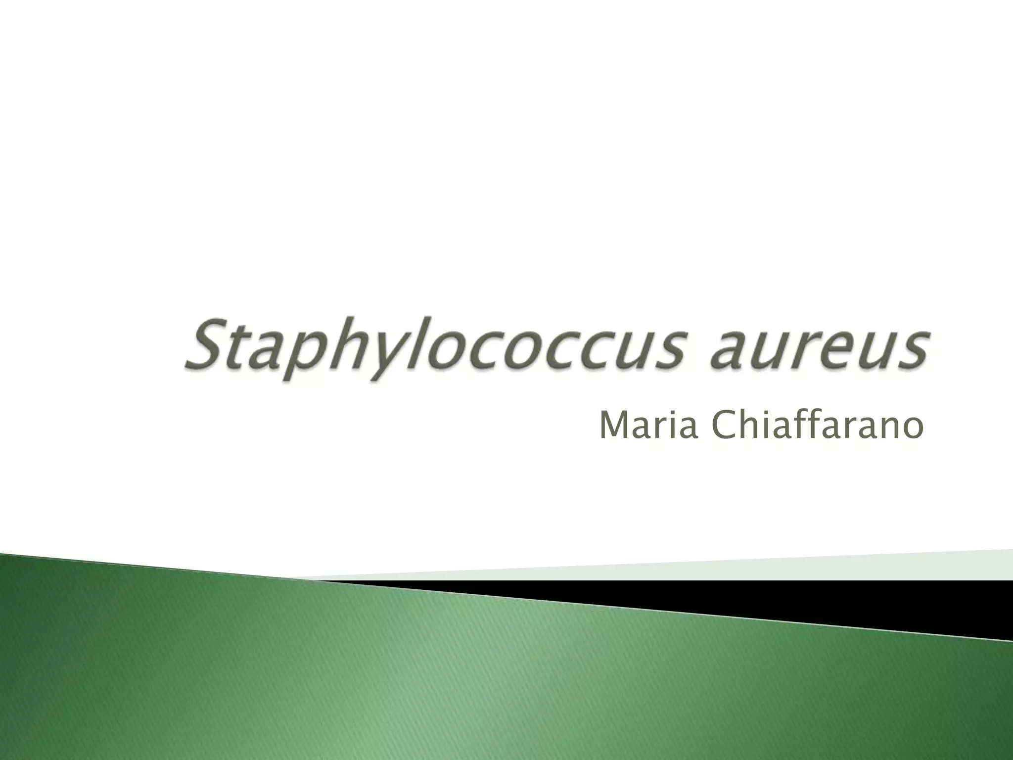 Staphylococcus aureus | PPTX | Medical Health