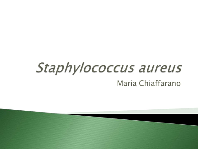 Staphylococcus aureus | PPTX